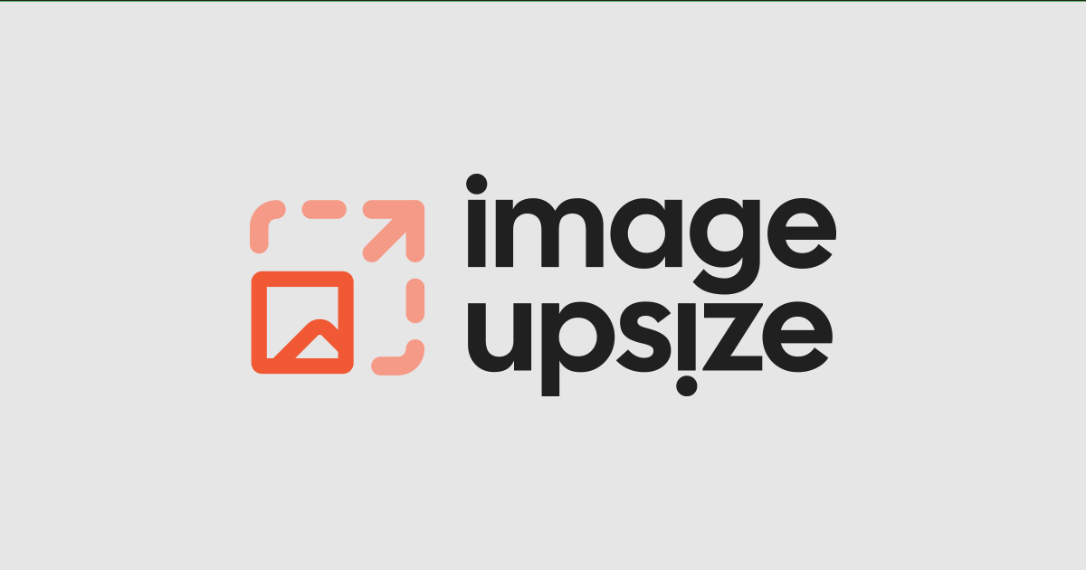 Image Upsize - Free Online AI Photo Enlarger | ImageUpsize.com